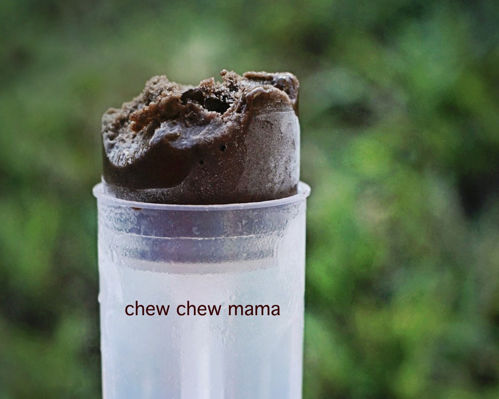 Monday Munchie: Blender Ice Cream - Chew Chew Mama